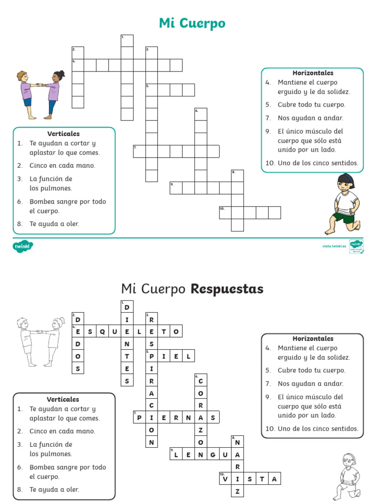 Respuestas De Crucigramas De Anatomía Muscular
