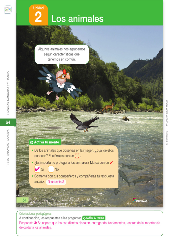 Ciencias Naturales Solucionario 2 Bas | PDF | Piel | Reptil