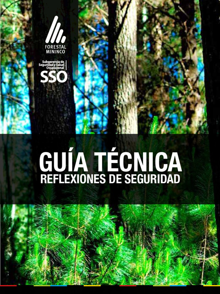 Reflexiones de Seguridad en Forestal Mininco | PDF