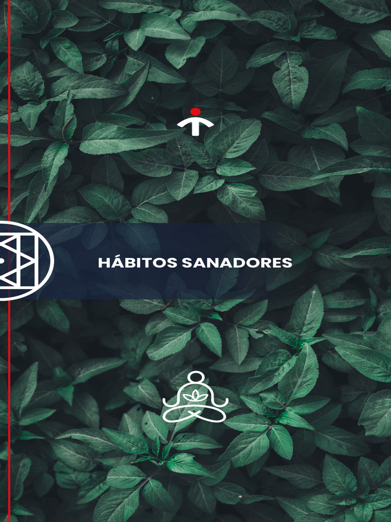 04 +H Bitos+saludables | PDF | Meditación | Masaje