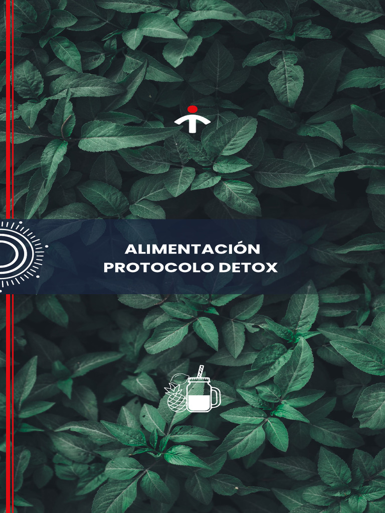 12 +Alimentacion+Protocolo+Detox | PDF | Alimentos | Cereales