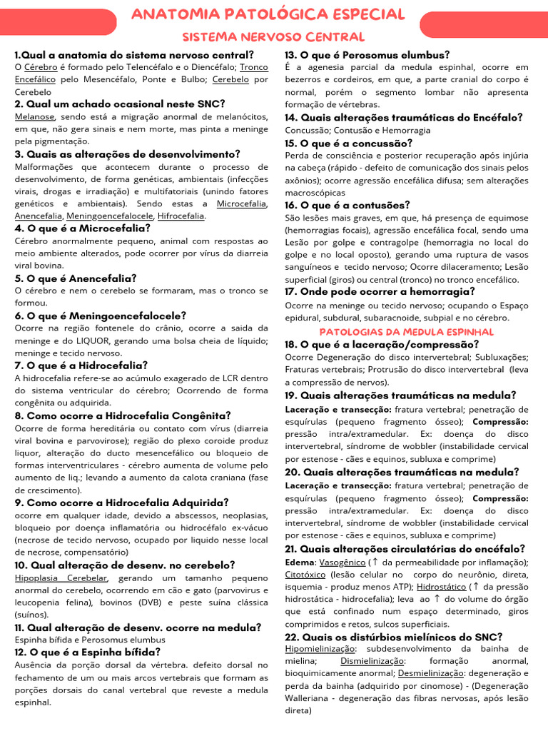 ANATOMIA PATO - SISTEMA NEUROLÓGICO | Download grátis PDF | Sistema ...