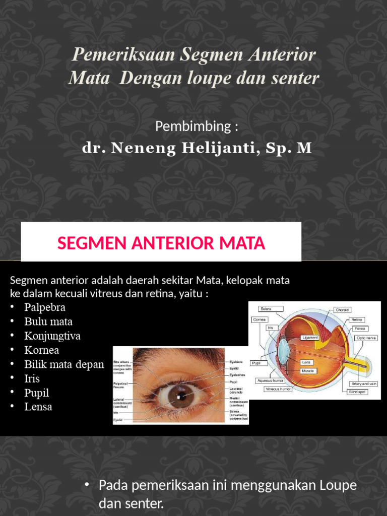 Pemeriksaan Segmen Anterior Mata | PDF | Pengembangan Diri | Kesehatan ...