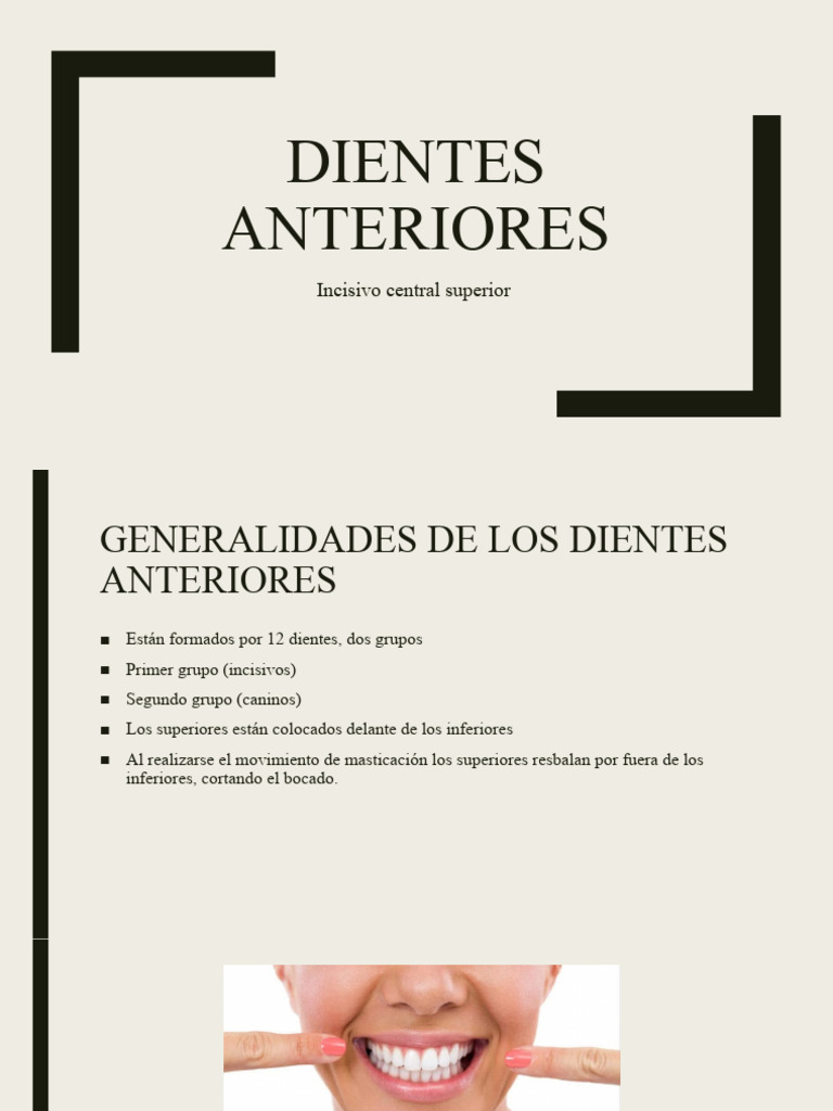 Dientes Anteriores | Descargar gratis PDF | Diente | Anatomia dental