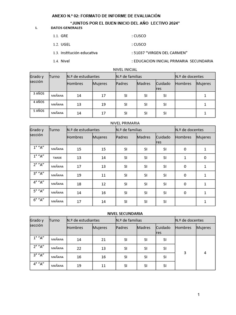 Esquema Informe Evaluac-biae-Anexo 2 | PDF