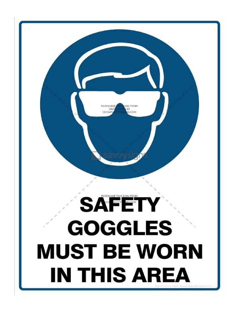 Safety Goggles | PDF