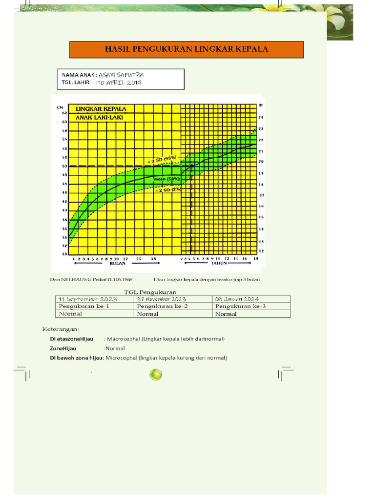 Grafik Lingkar Kepala | PDF