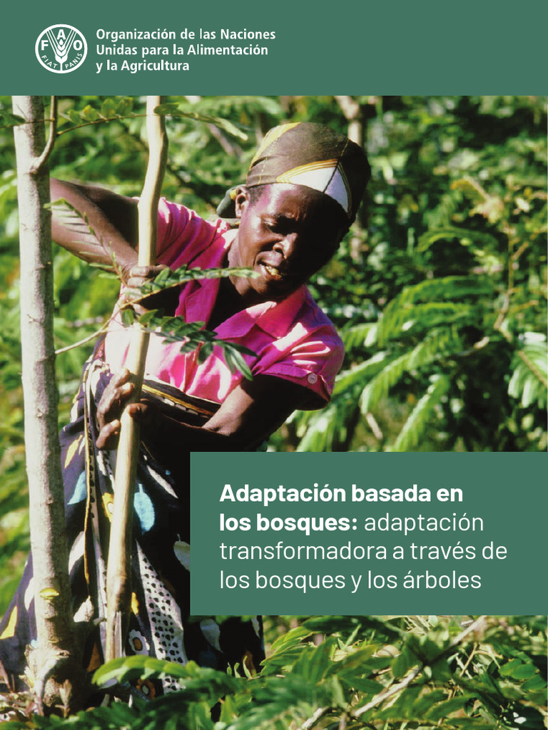 Adaptacion Con Bosques - 2024-FAO | PDF | Los bosques | Agricultura