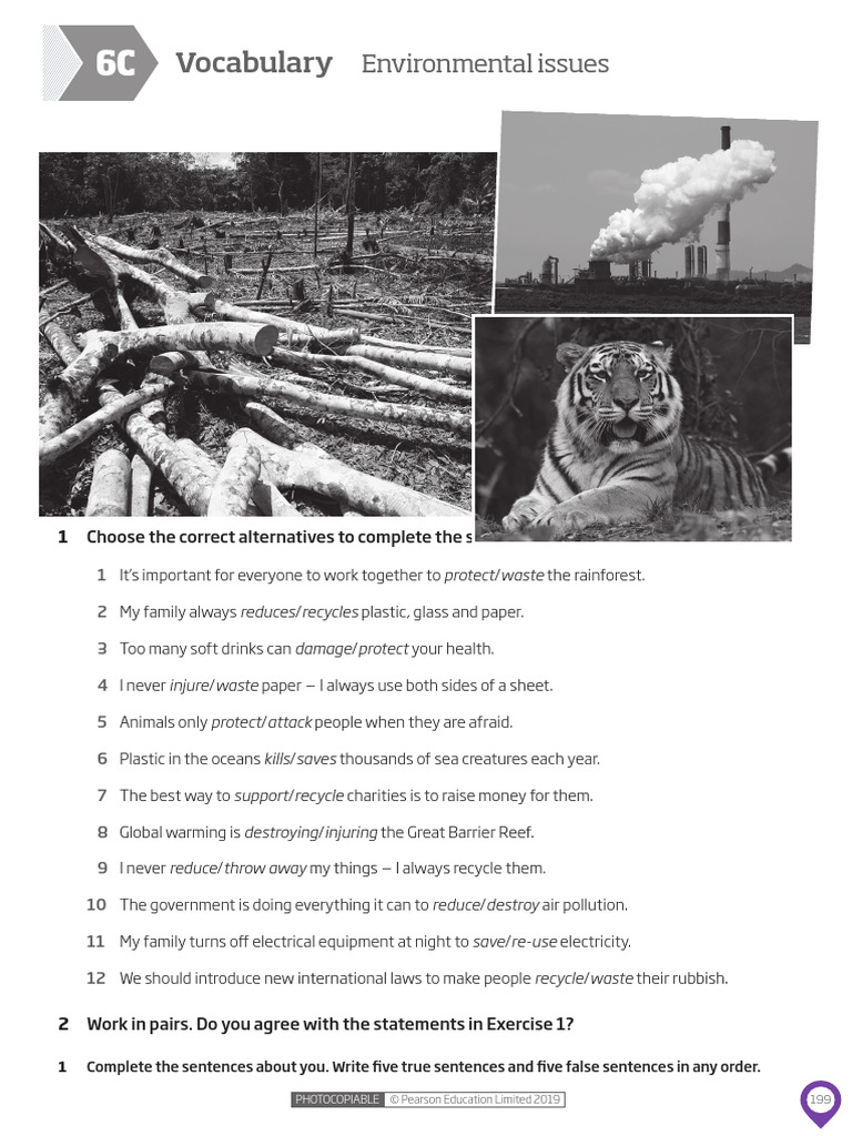 RM B1 PC 6C Vocabulary | PDF