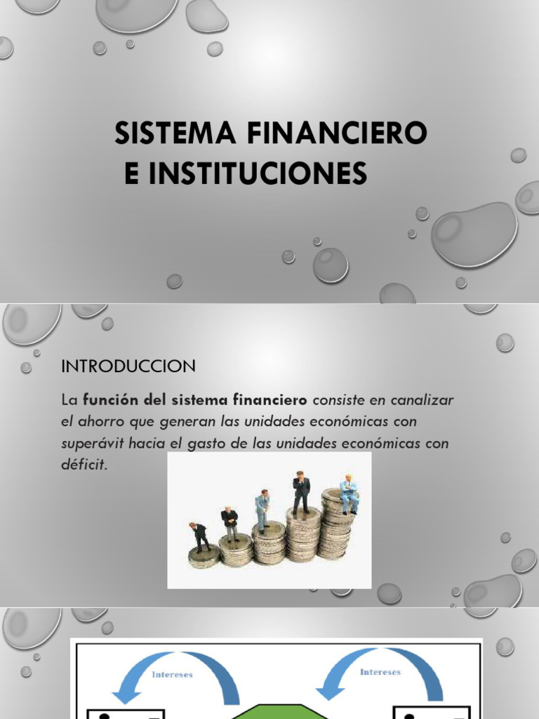 Sistema Financiero e Instituciones | PDF | Sistema financiero | Bancos