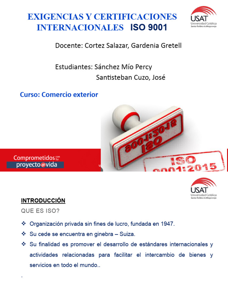 Iso 19001 Comercio Exterior | PDF | Calidad (comercial) | Sistema de ...