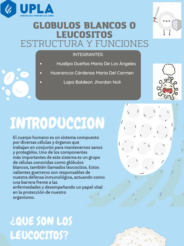 Presentación Ciencia El Cuerpo Humano Ilustrativo Lila | PDF | Leucocito | Sistema inmune