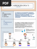 Cariotipo y Cariograma | PDF