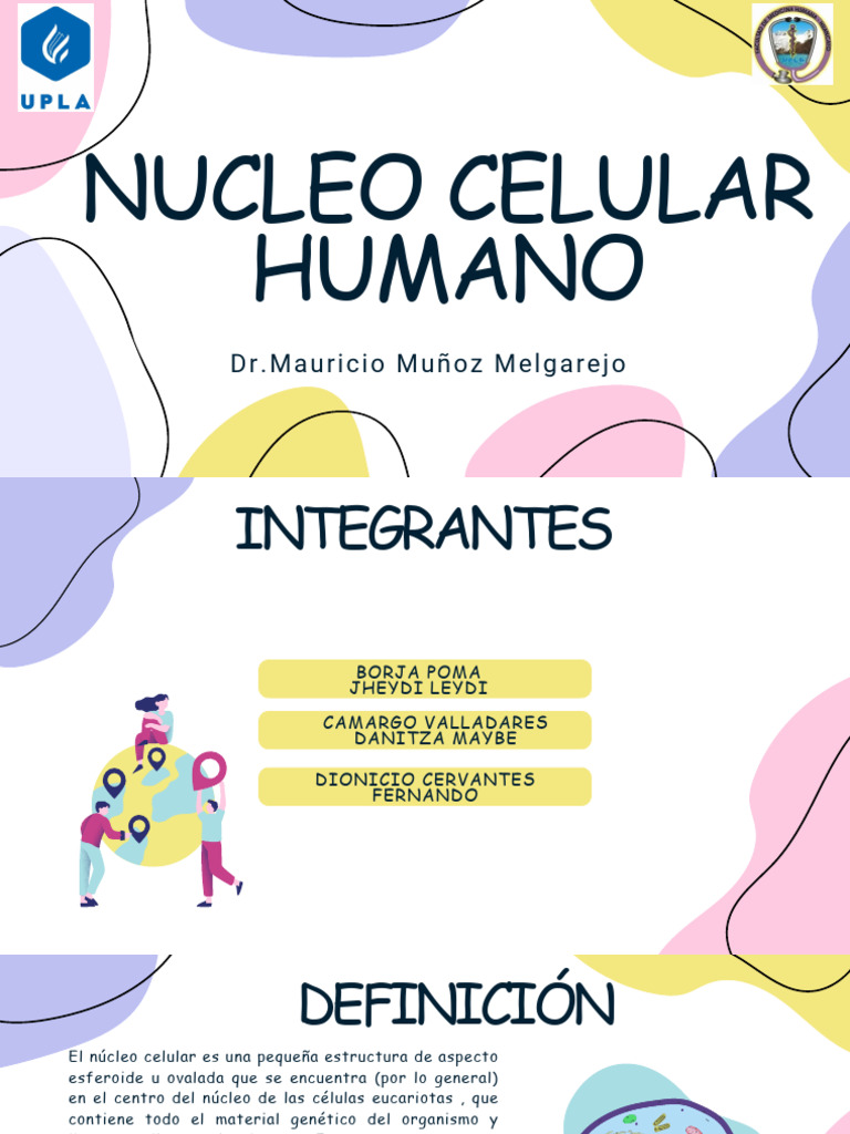 Nucleo Celular Humano | Descargar gratis PDF | Cromatina | Nucleo celular