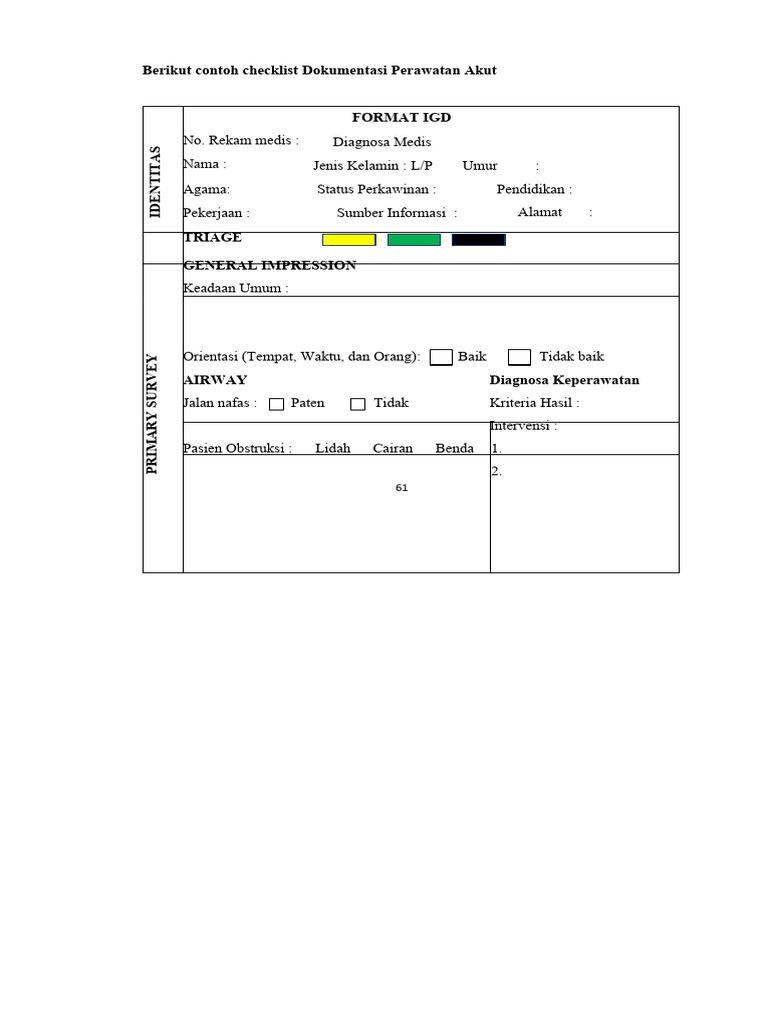 Checklist Dokumentasi Perawatan Akut | PDF