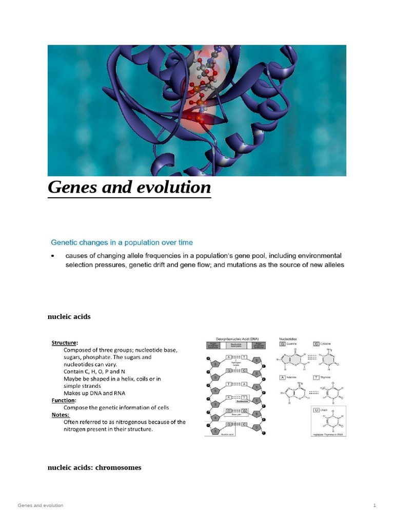 Genes and Evolution | PDF | Mutation | Evolution