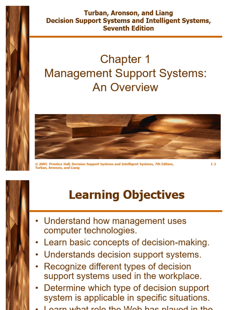 Overview DSS | PDF | Decision Support System | Artificial Intelligence