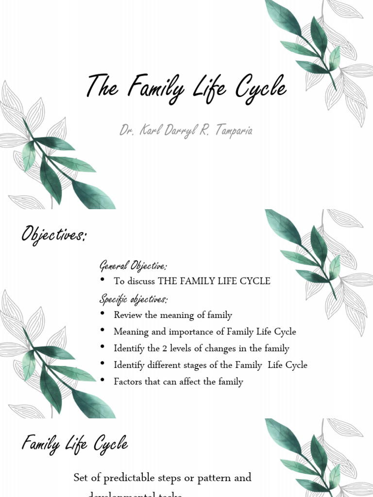 The Family Life Cycle | Download Free PDF | Family | Adolescence