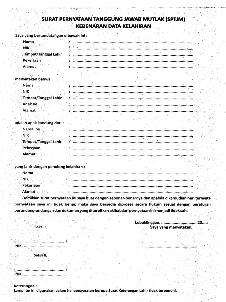 Formulir SPTJM Kelahiran Akta | PDF
