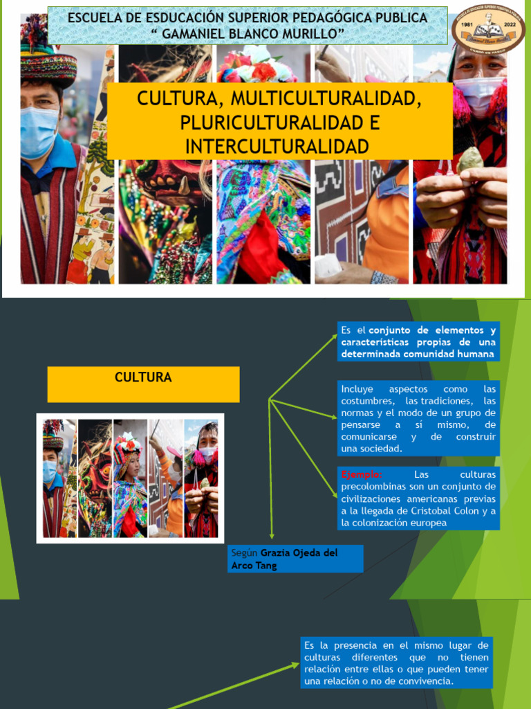 Definición de Cultura, Multiculturalidad, Interculturalidad. | PDF ...