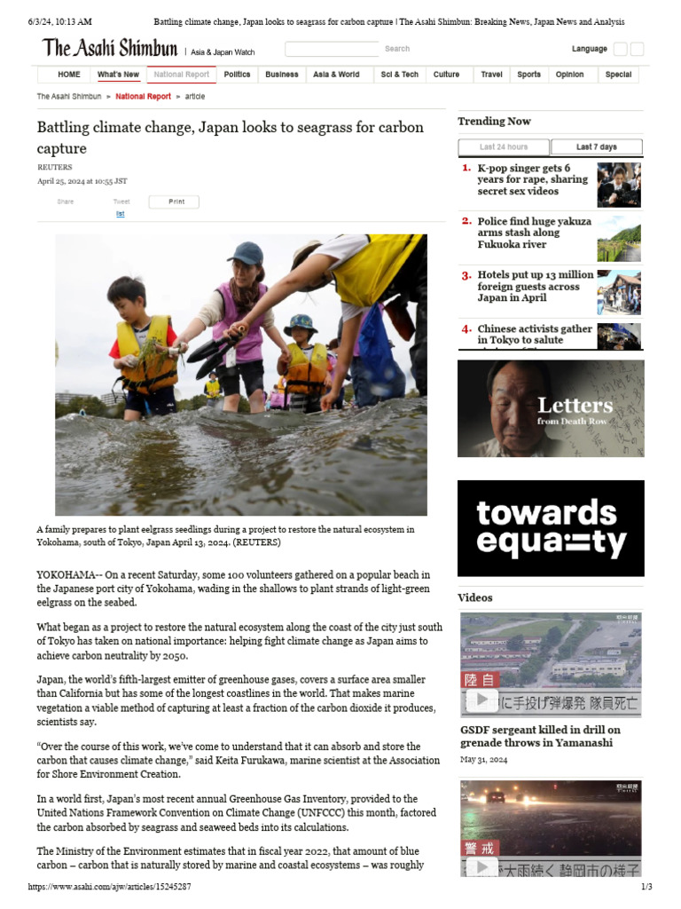 Battling Climate Change, Japan Looks To Seagrass For Carbon Capture ...
