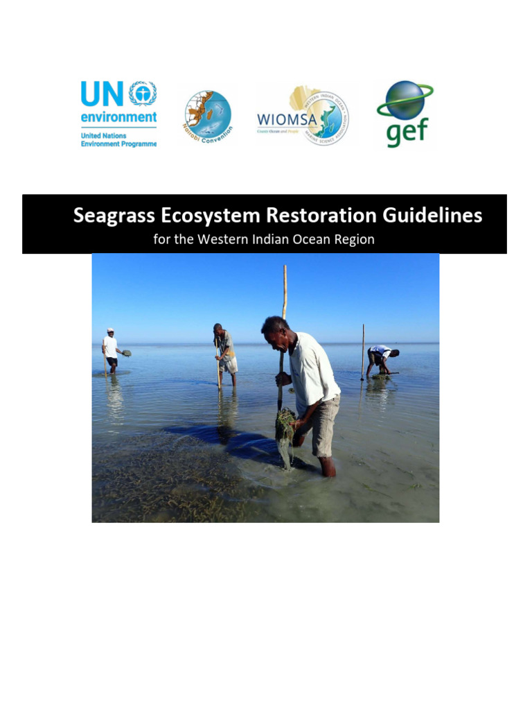 Seagrass Restoration Guidelines WIO Region | PDF | Restoration Ecology ...