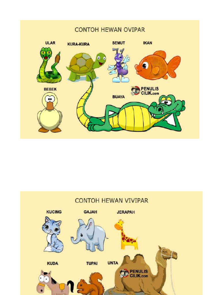 Gambar Hewan | PDF