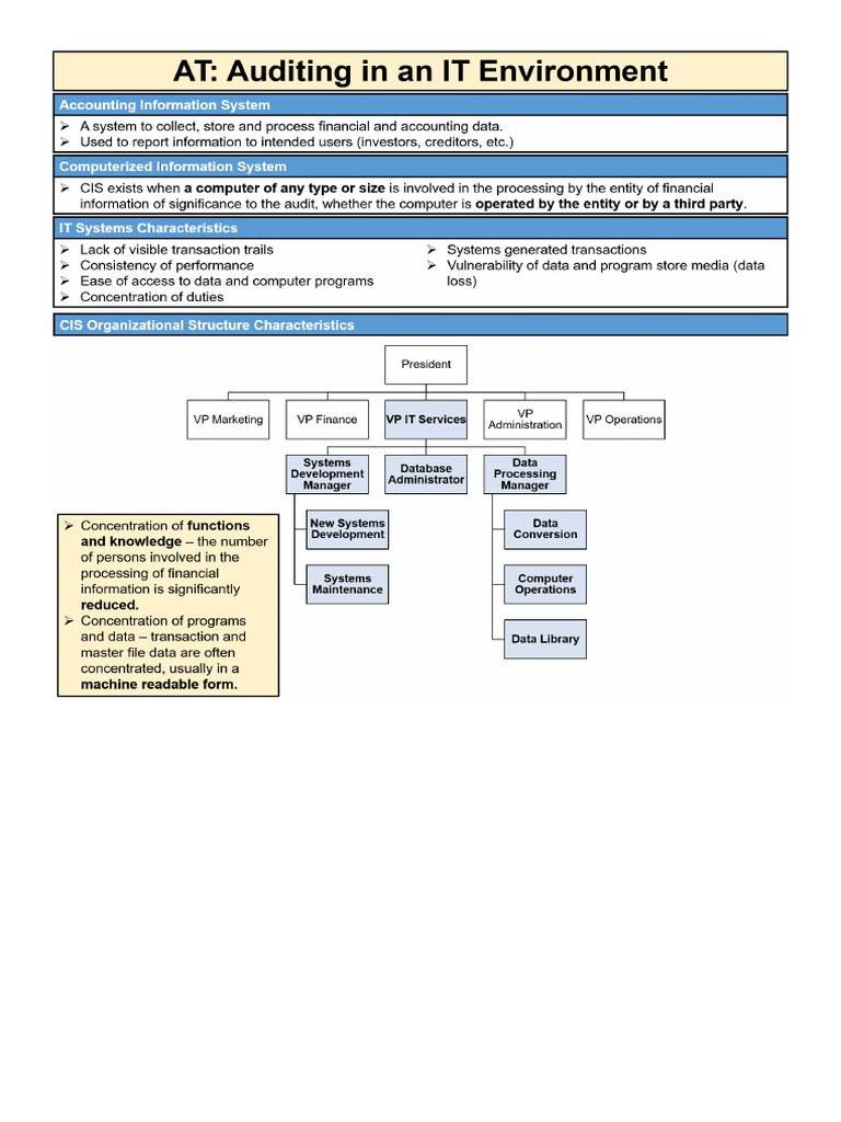 At Auditing in An IT Environment | PDF