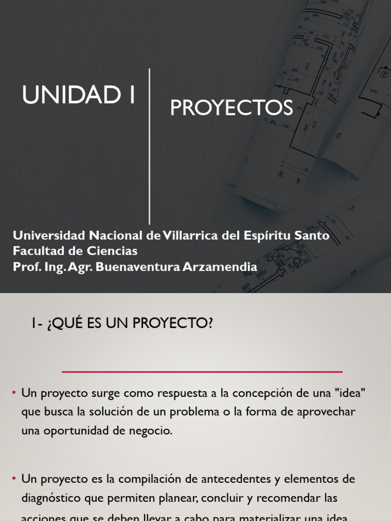 Unidad I - Proyectos | PDF | Inversiones | Evaluación