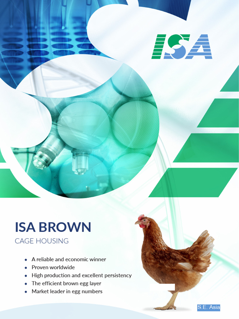 ISA Brown: Efficient Brown Egg Layer | PDF | Poultry Farming