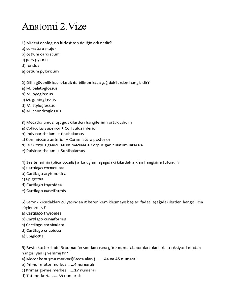 Anatomi 2.vize | PDF