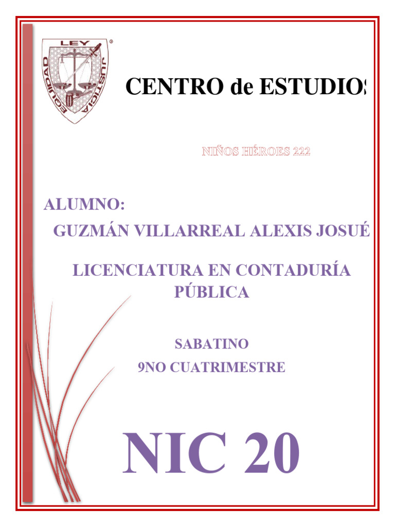 Nic 20 Alexis Guzman | PDF | normas internacionales de INFORMACION ...