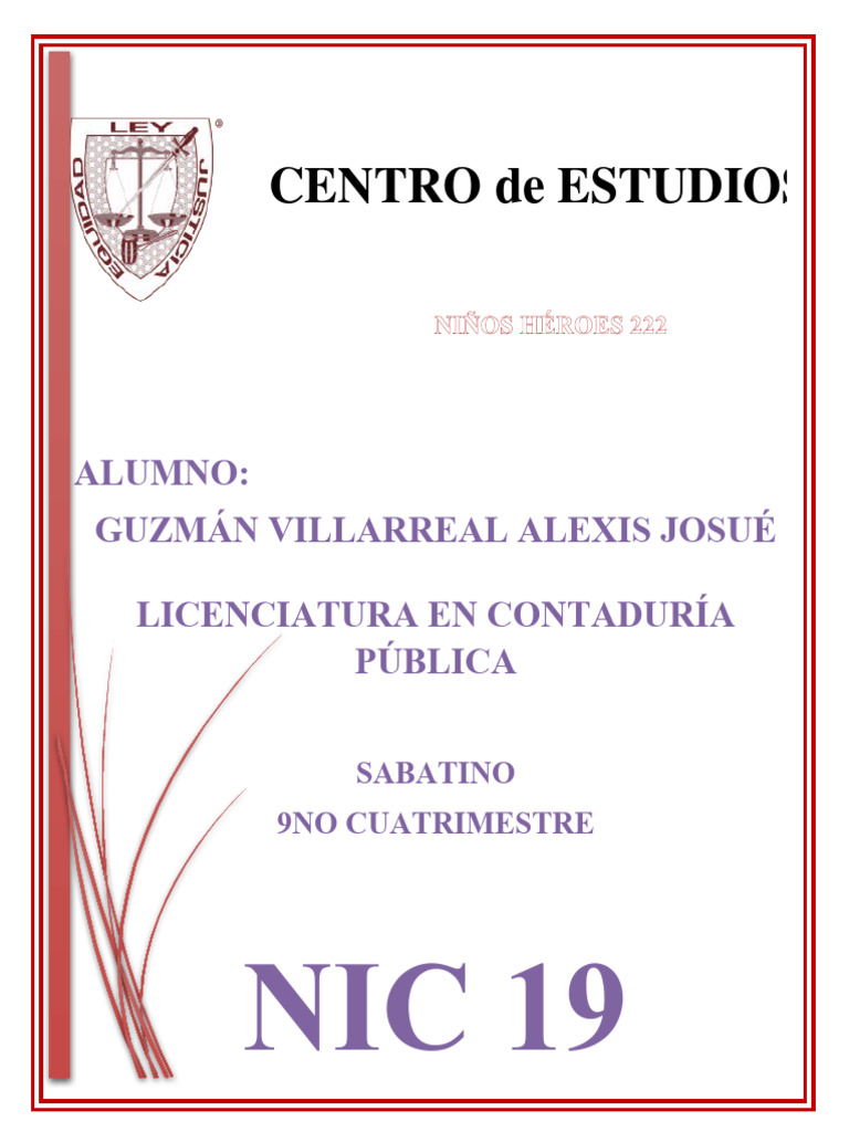 Nic 19 Alexis Guzman | PDF | Contabilidad | Business