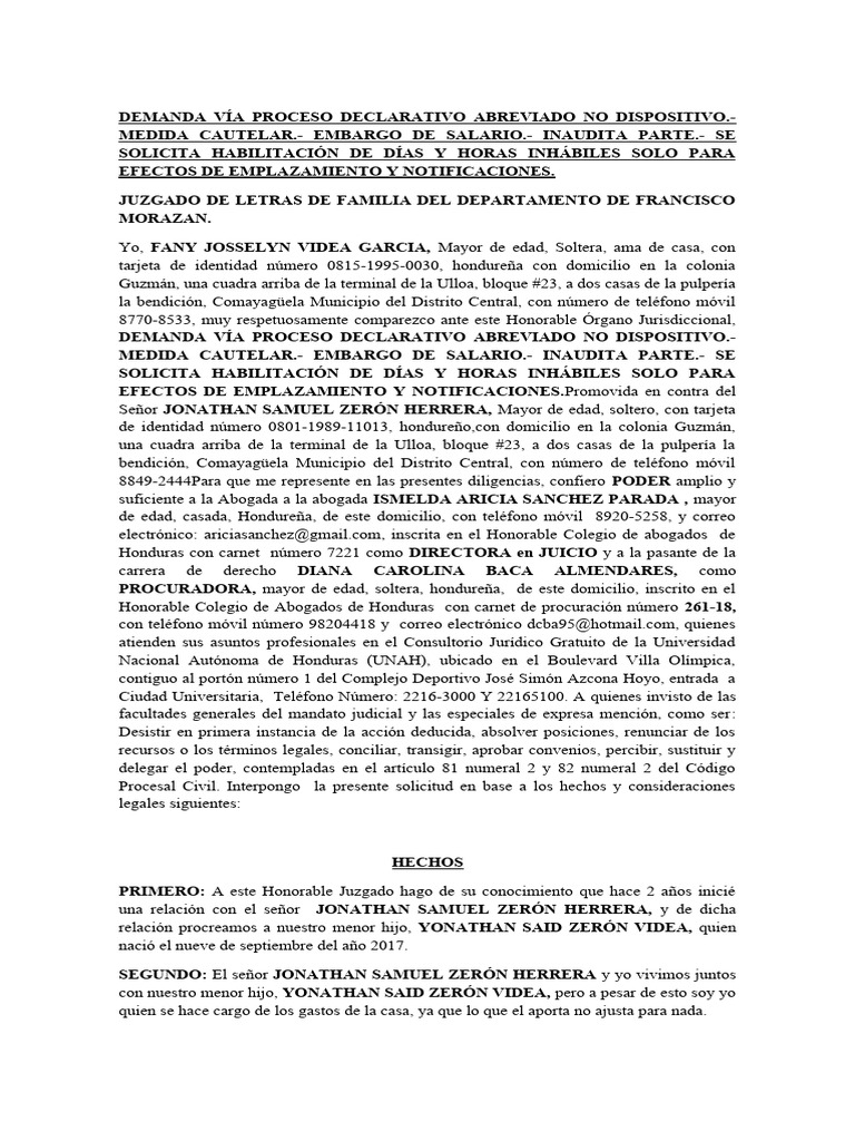 Demanda de Alimentos Fany | PDF | Mandato | Pensión alimenticia
