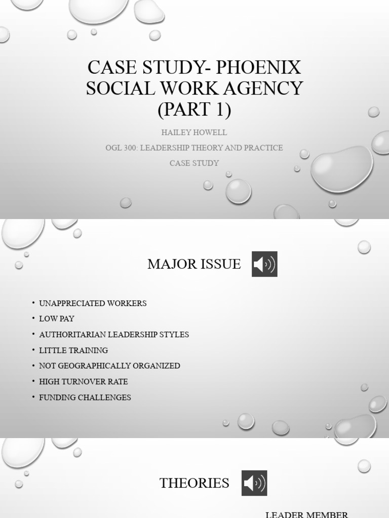 Case Study - Phoenix Social Work Agency | PDF | Leadership ...