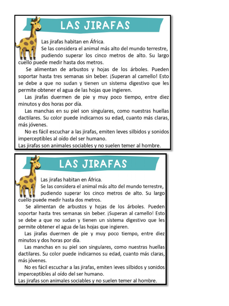 Art. Informativo La Jirafa | PDF
