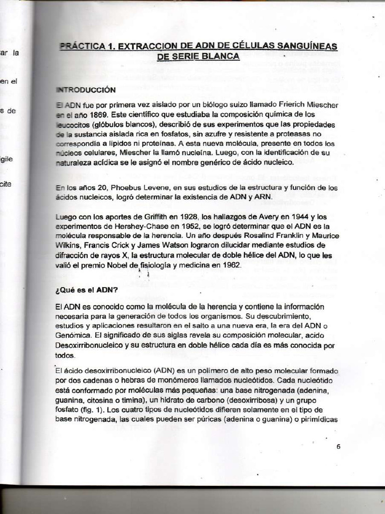 Práctica 4 EXTRACCION DEL ADN | PDF