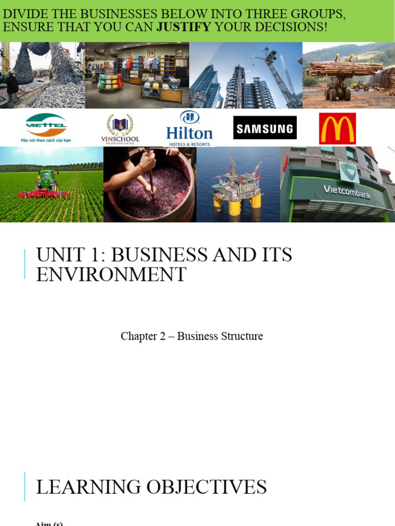 Understanding Business Structures | PDF | Franchising | Cooperative