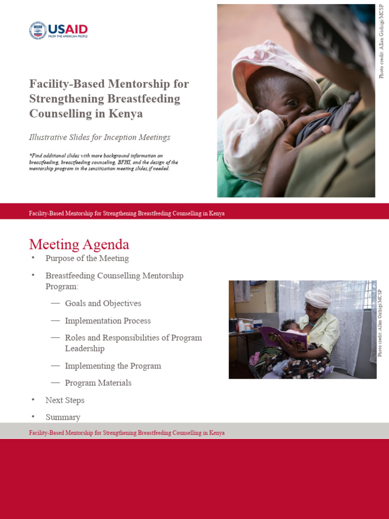 Annex 2 - Illustrative Slides For Inception Meetings | PDF | Mentorship ...