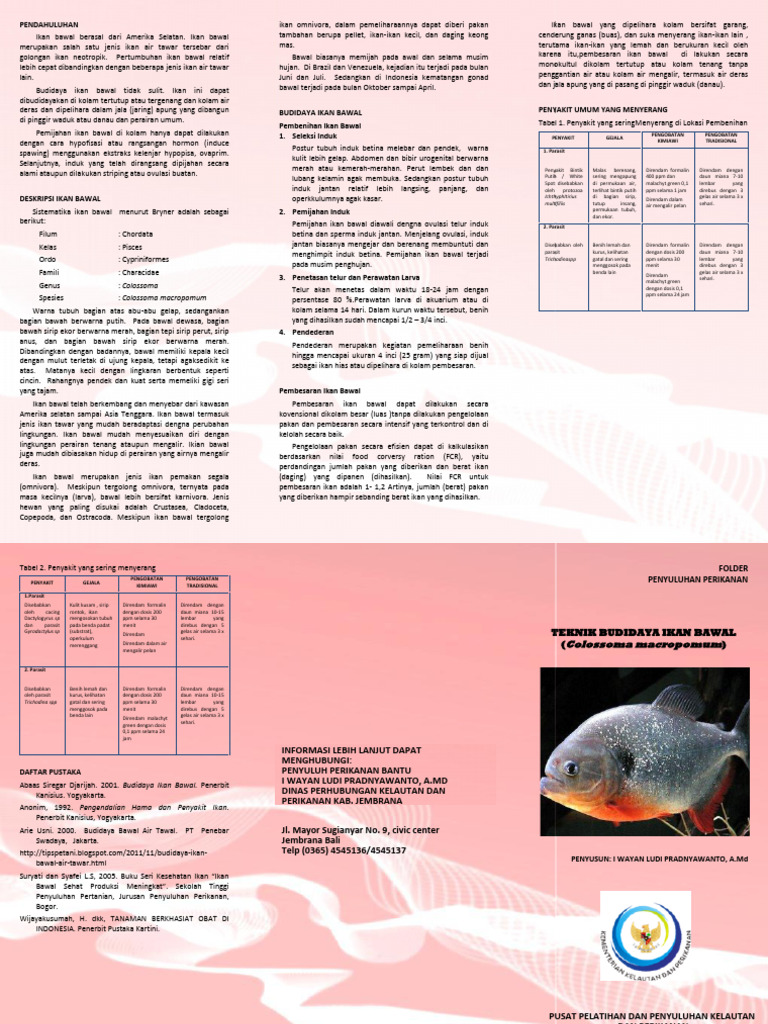 Folder 07 IX BUDIDAYA IKAN BAWAL | PDF