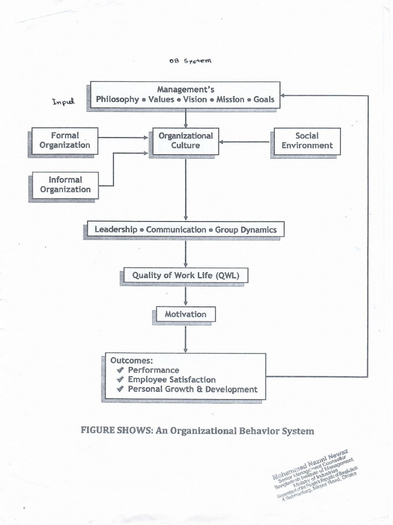 Organization OB System & Model | PDF