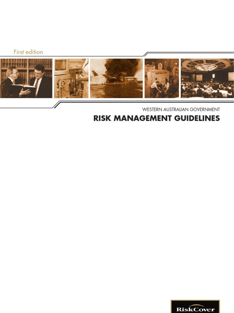 RM Guidelines | PDF | Risk Management | Risk Assessment