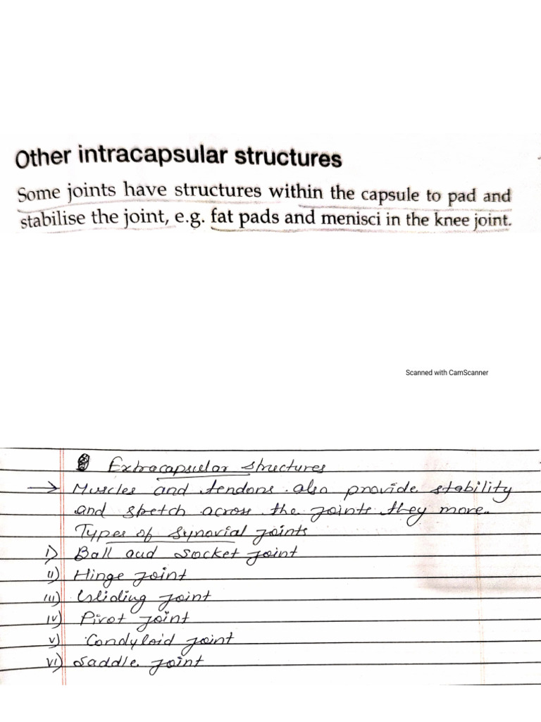 Synovial Joint | PDF