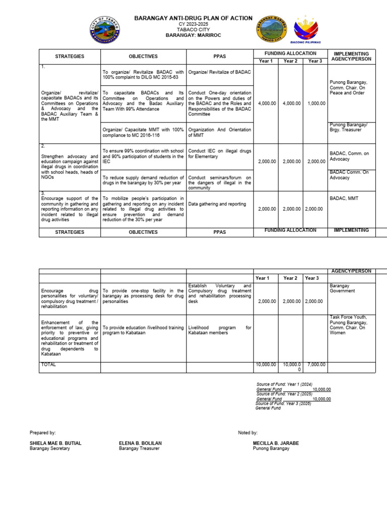 BADAC Plan of Action Blank | PDF