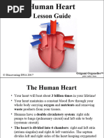 Abnormal Arterial Line Waveforms - Deranged Physiology | PDF | Blood ...