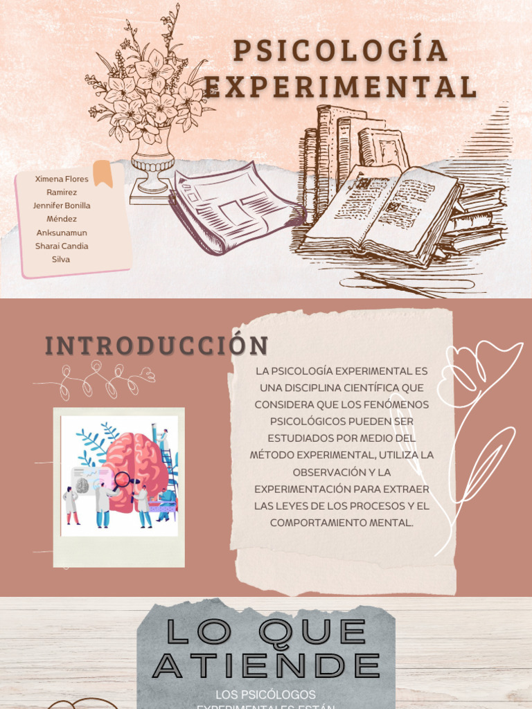 Psicología Experimental | PDF | Psicología experimental | Percepción