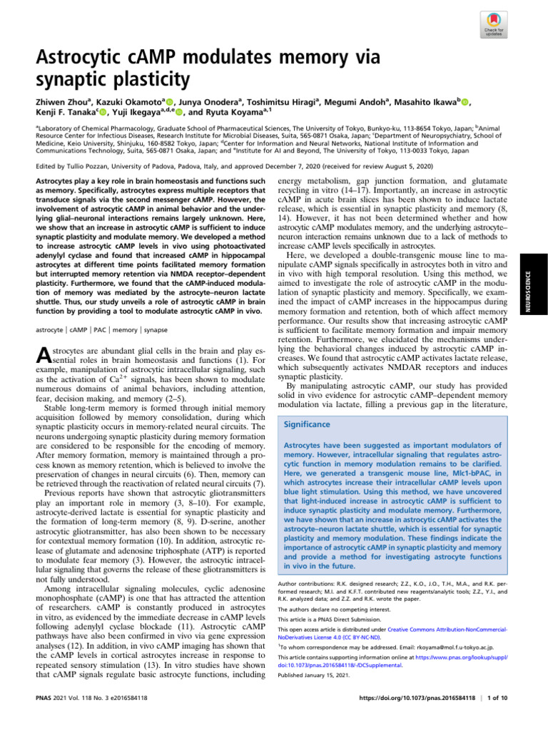 Astrocytic cAMP Modulates Memory Via Synaptic Plasticity | PDF | Memory ...