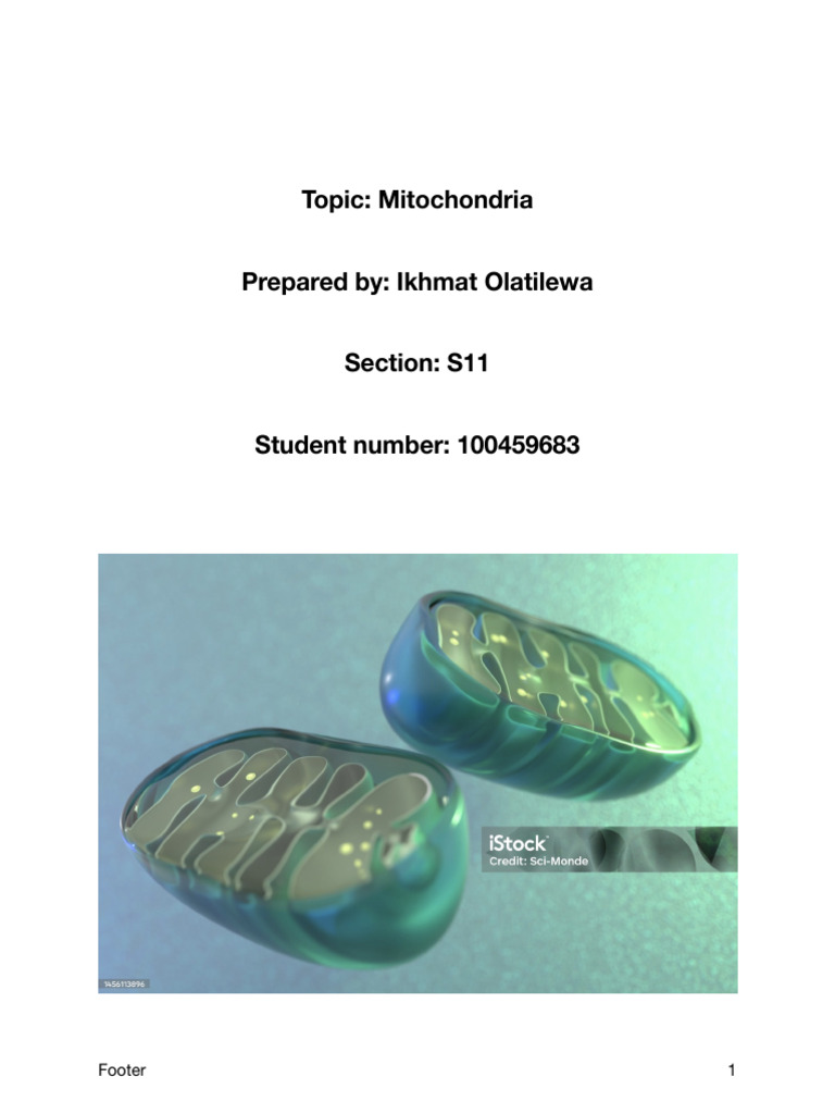 Mitochondria | PDF | Wellness | Technology & Engineering