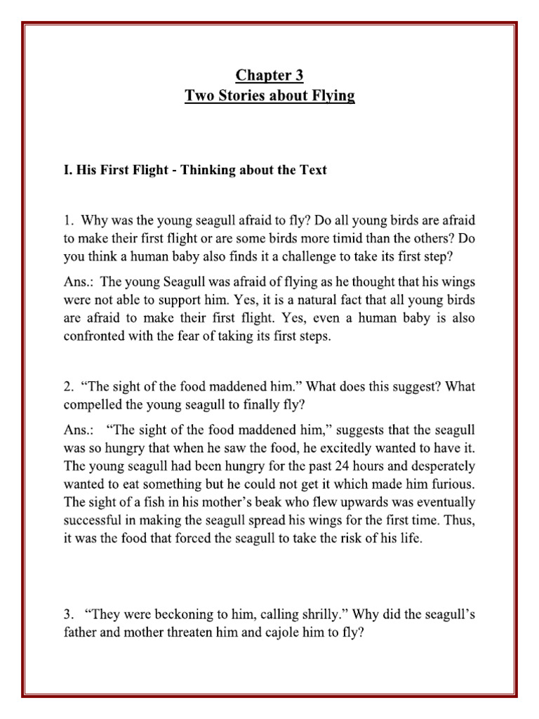 Two Stories About Flying | PDF