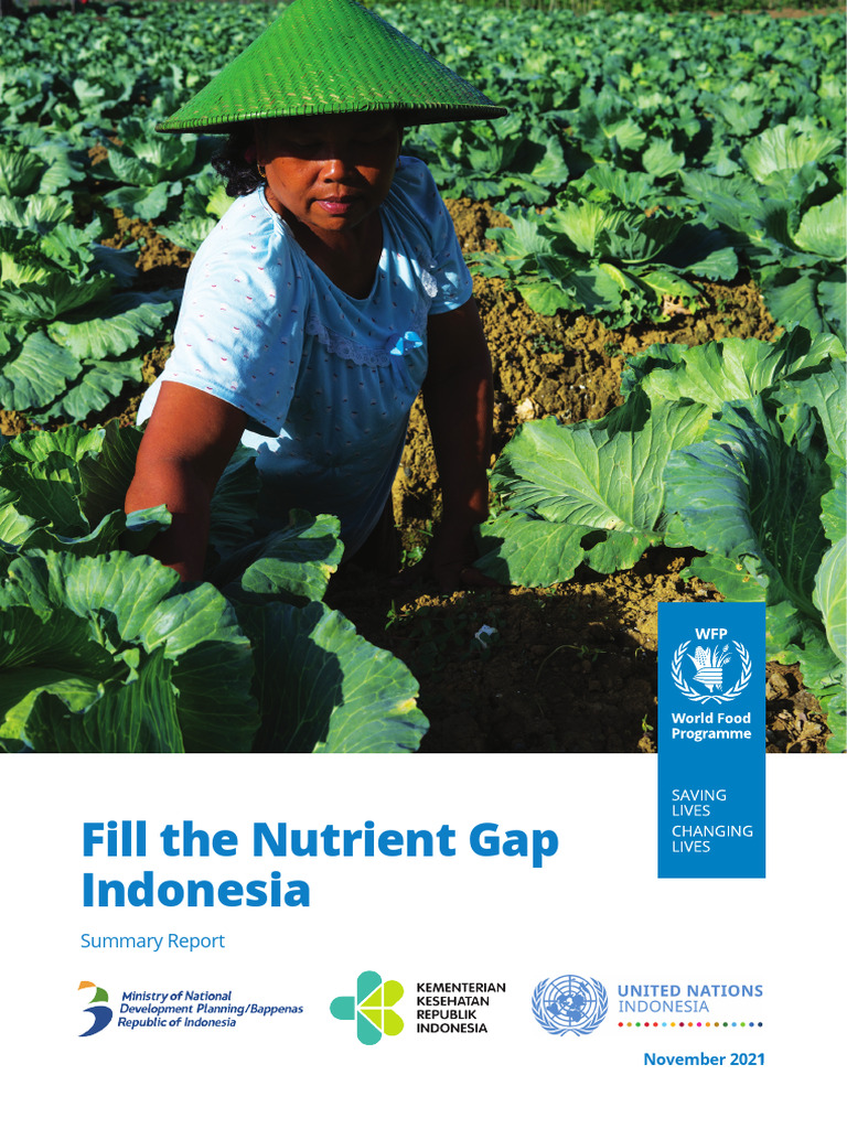 WFP-Fill the nutrition gap in Indonesia | Download Free PDF | Malnutrition | Nutrition